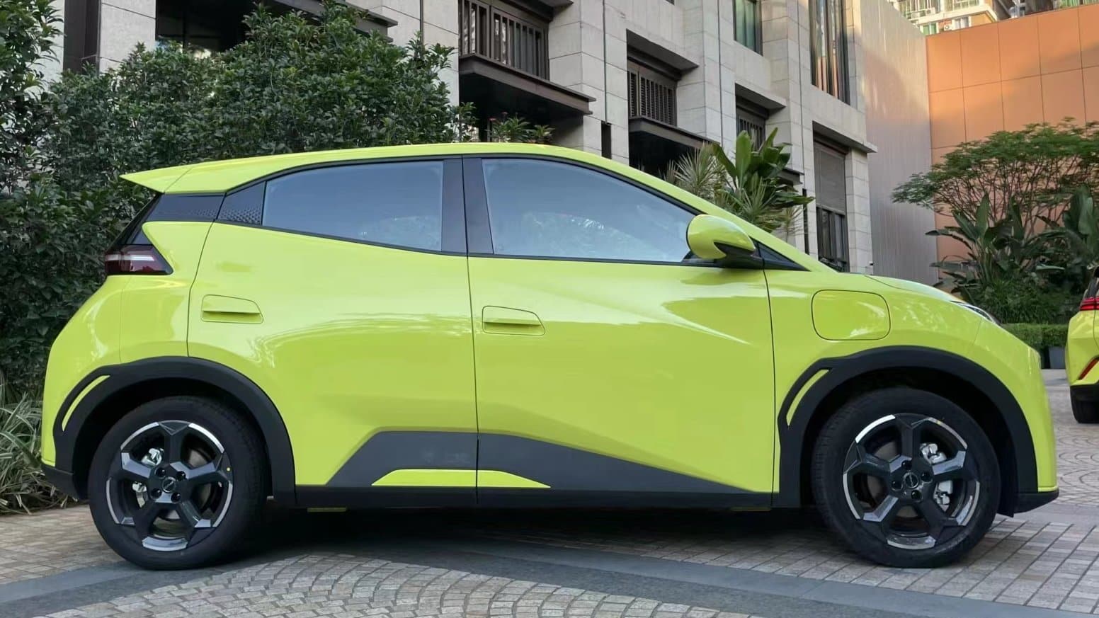 Le BYD Seagull, rebaptisé Dolphin Mini, conquiert l'Amérique du Sud à ...